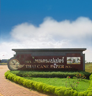 :: THAI CANE :: - About us